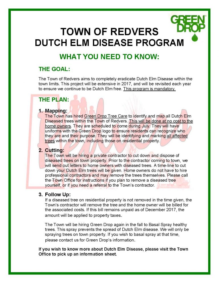utility bill dutch elm - Redvers, Saskatchewan