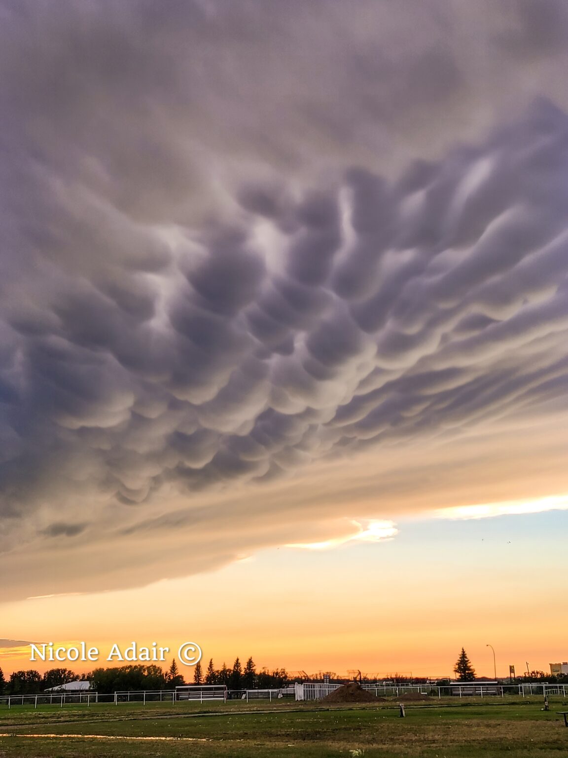 Contact Us - Redvers, Saskatchewan